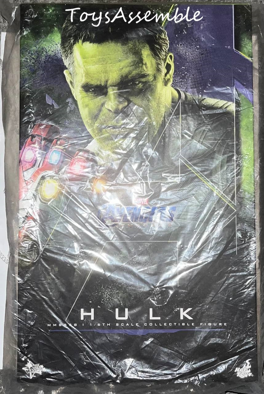 🔥Hottoys🔥MMS558 AVENGERS: ENDGAME 1/6 HULK – ToysAssemble
