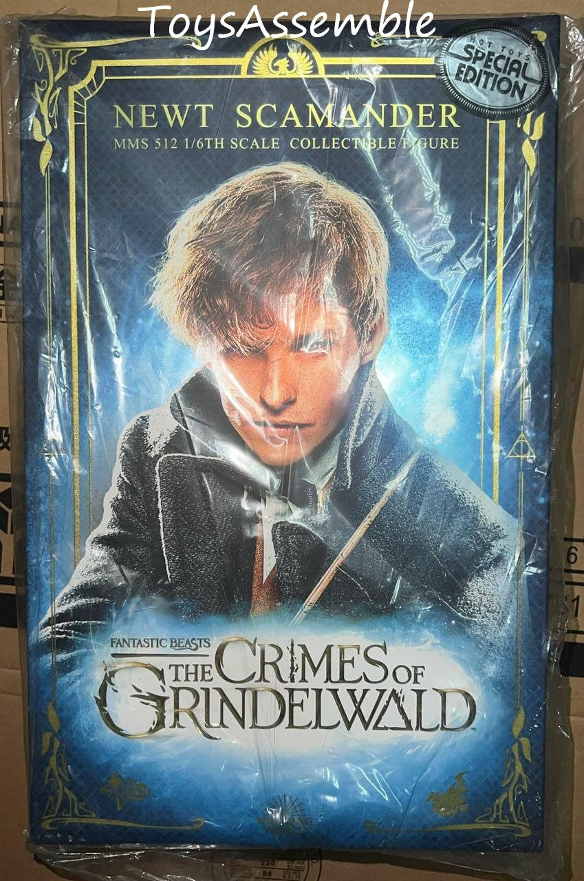 🔥Hot Toys🔥MMS512 MMS512B FANTASTIC BEASTS 1/6 Newt Scamander Special E ...