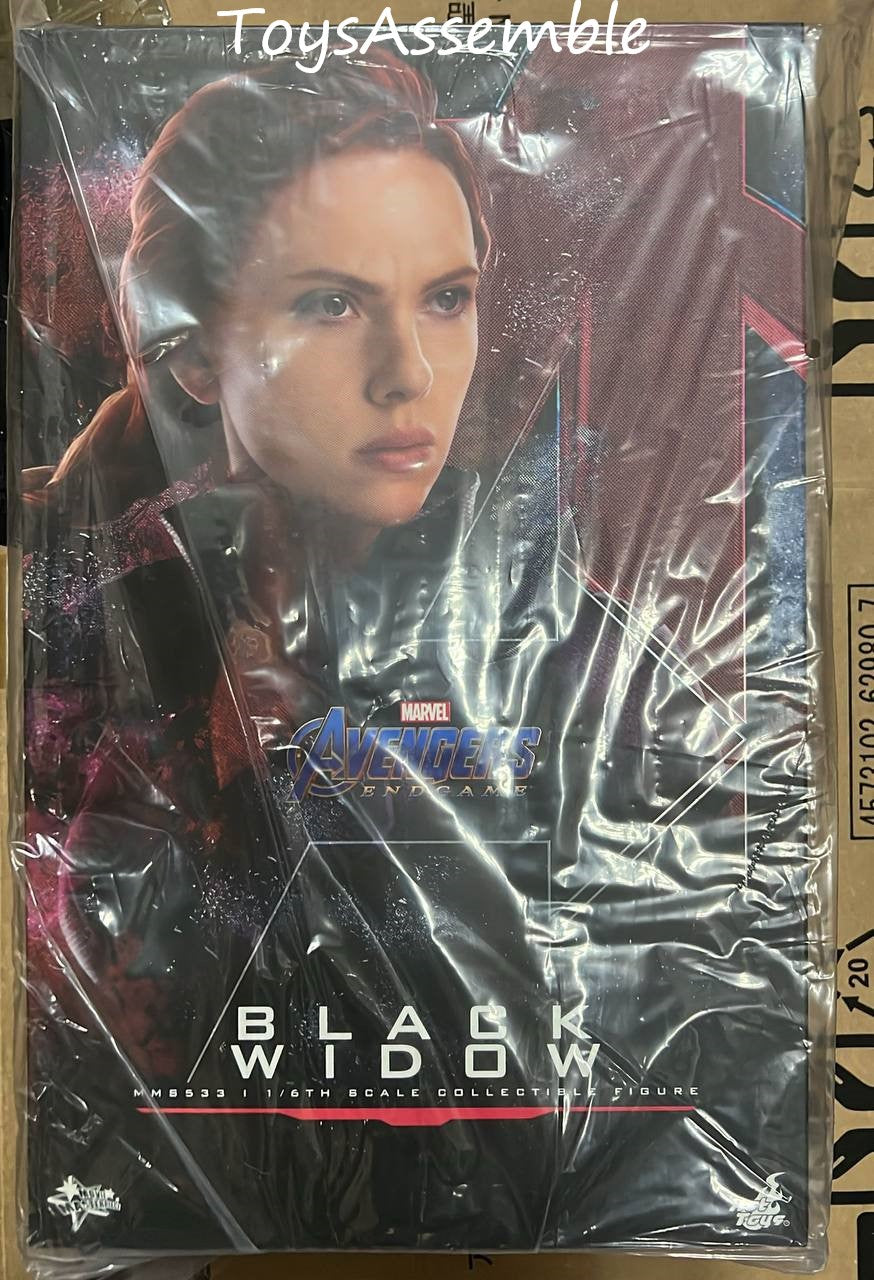 🔥Hot Toys🔥MMS533 AVENGERS: ENDGAME 1/6 BLACK WIDOW – ToysAssemble